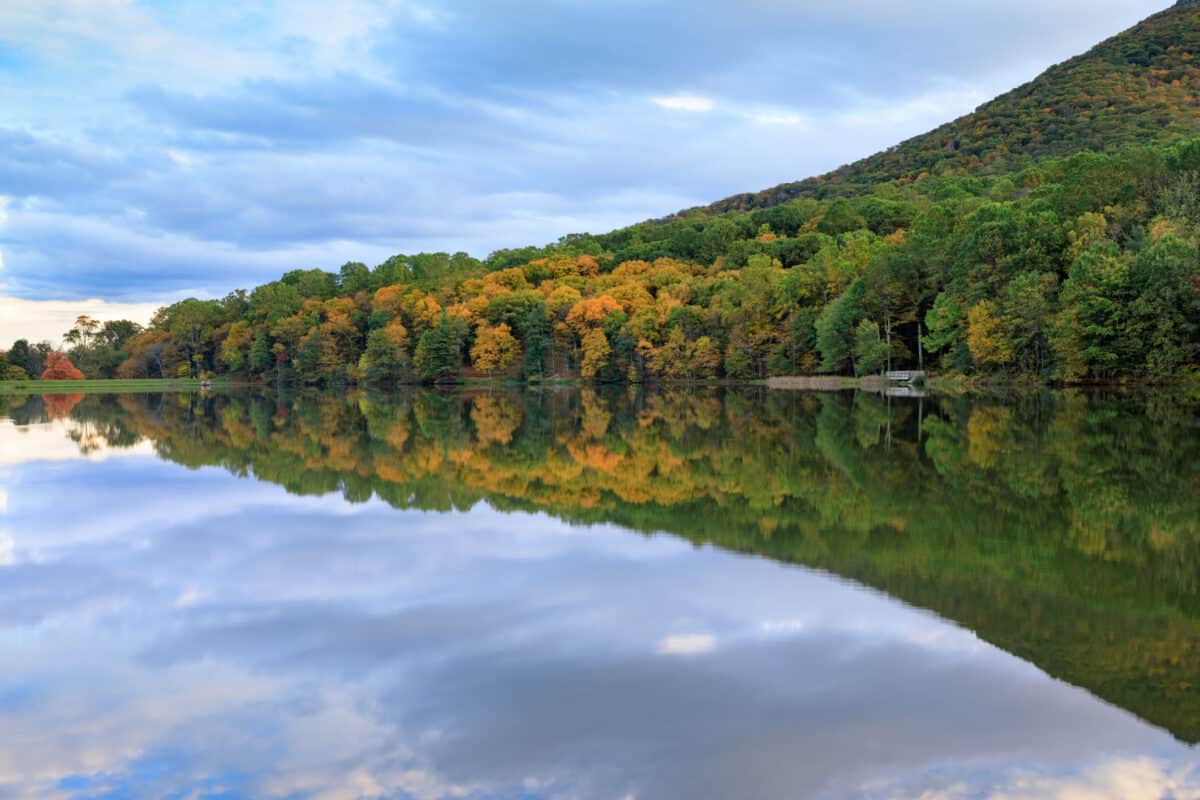 Are Largemouth Bass Native To Virginia? Northeast Bass History – AnglerWise