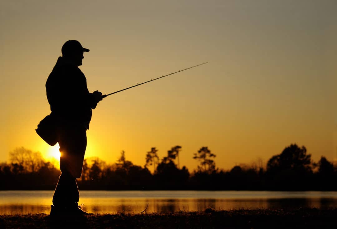 Blue Largemouth Bass: Diet And Strange Colorations – AnglerWise