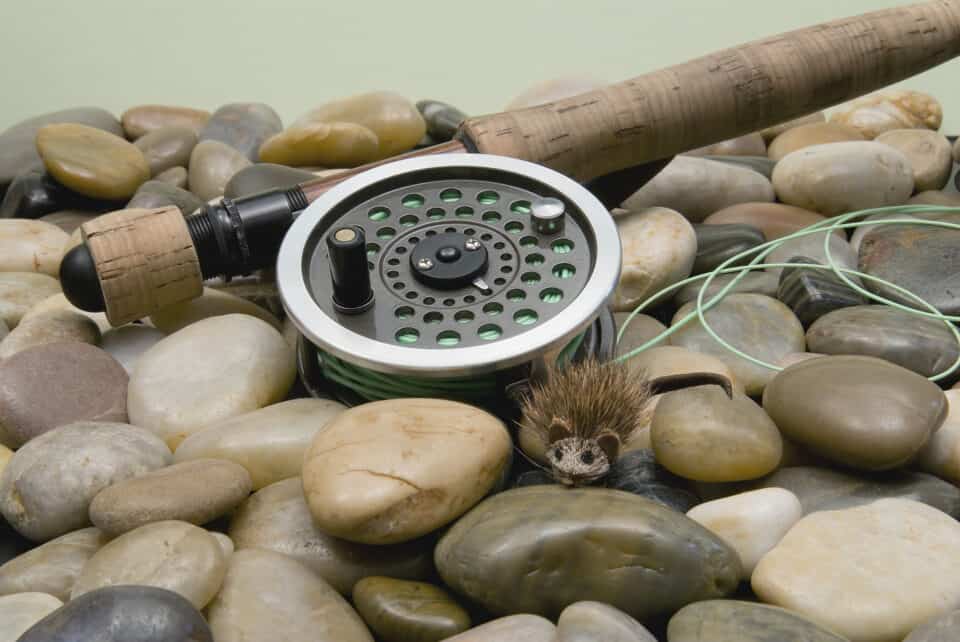 Do Trout Feed At Night? Nighttime Tricks And Tips – AnglerWise