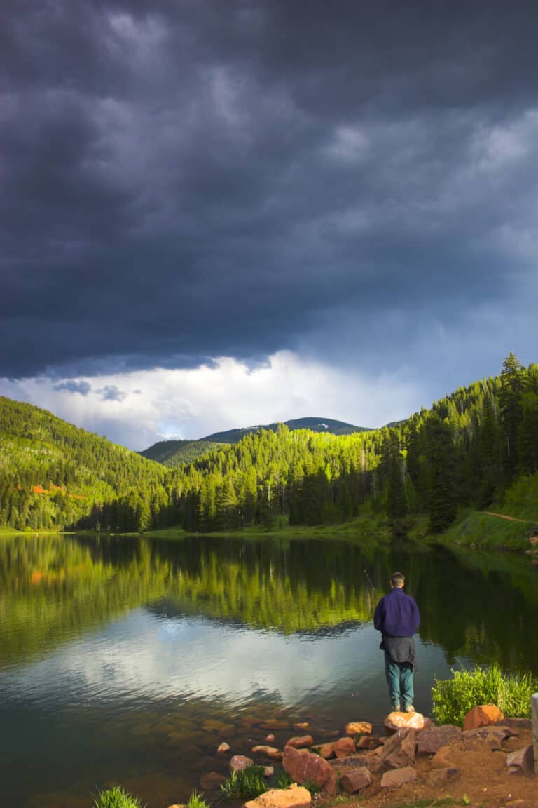 How To Catch Rainbow Trout In Lakes: Open Water Tactics – AnglerWise