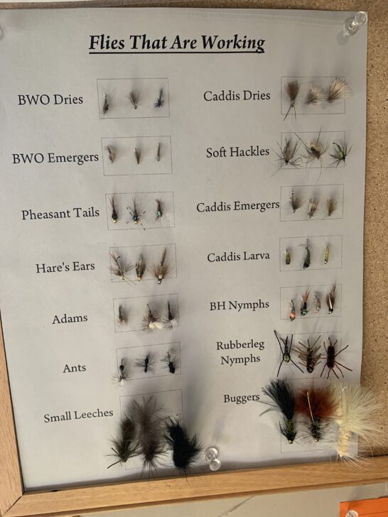 How To Fish For Rainbow Trout In Deep Pools: Location & Lures – AnglerWise