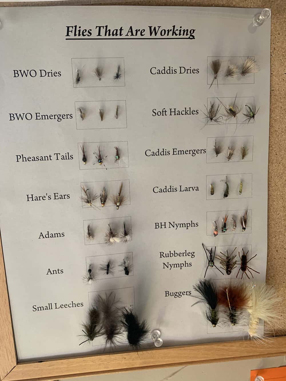 How To Fish For Rainbow Trout In Deep Pools: Location & Lures – AnglerWise