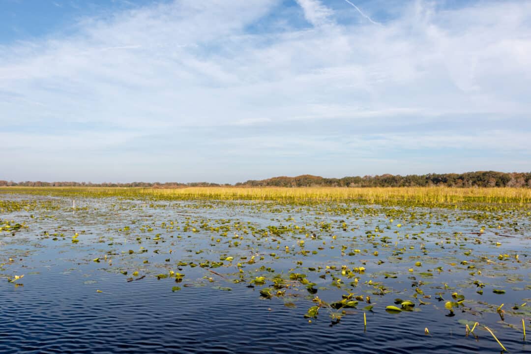 Largemouth Bass Spawn Guide: South, East & Central United States ...