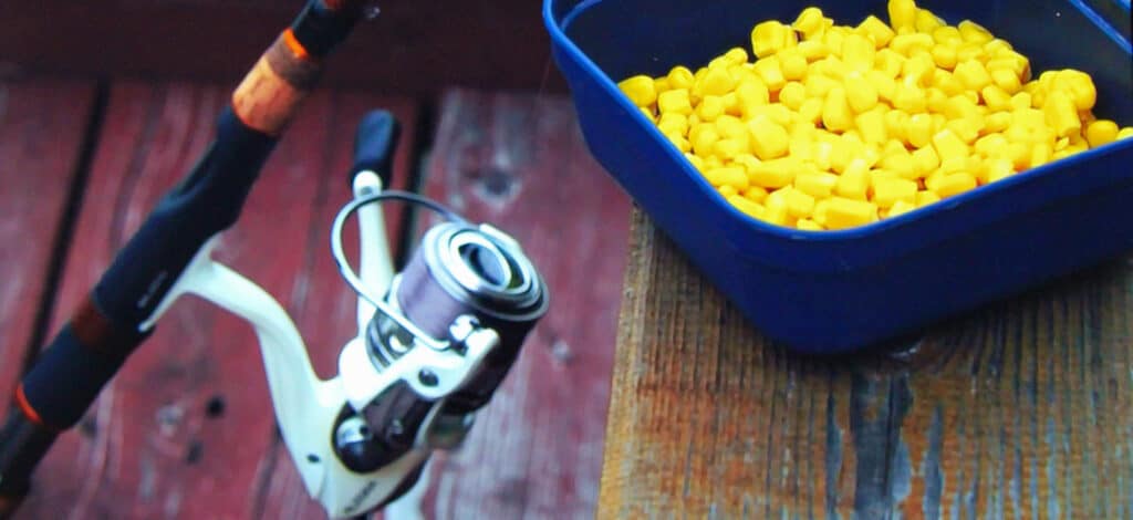 Trout Fishing With Corn: How To Use Corn To Catch Trout – AnglerWise