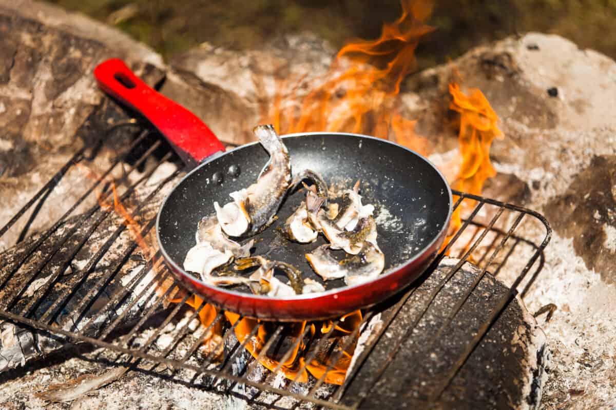 What Color Is Rainbow Trout Meat? Three Shades Of Trout – AnglerWise