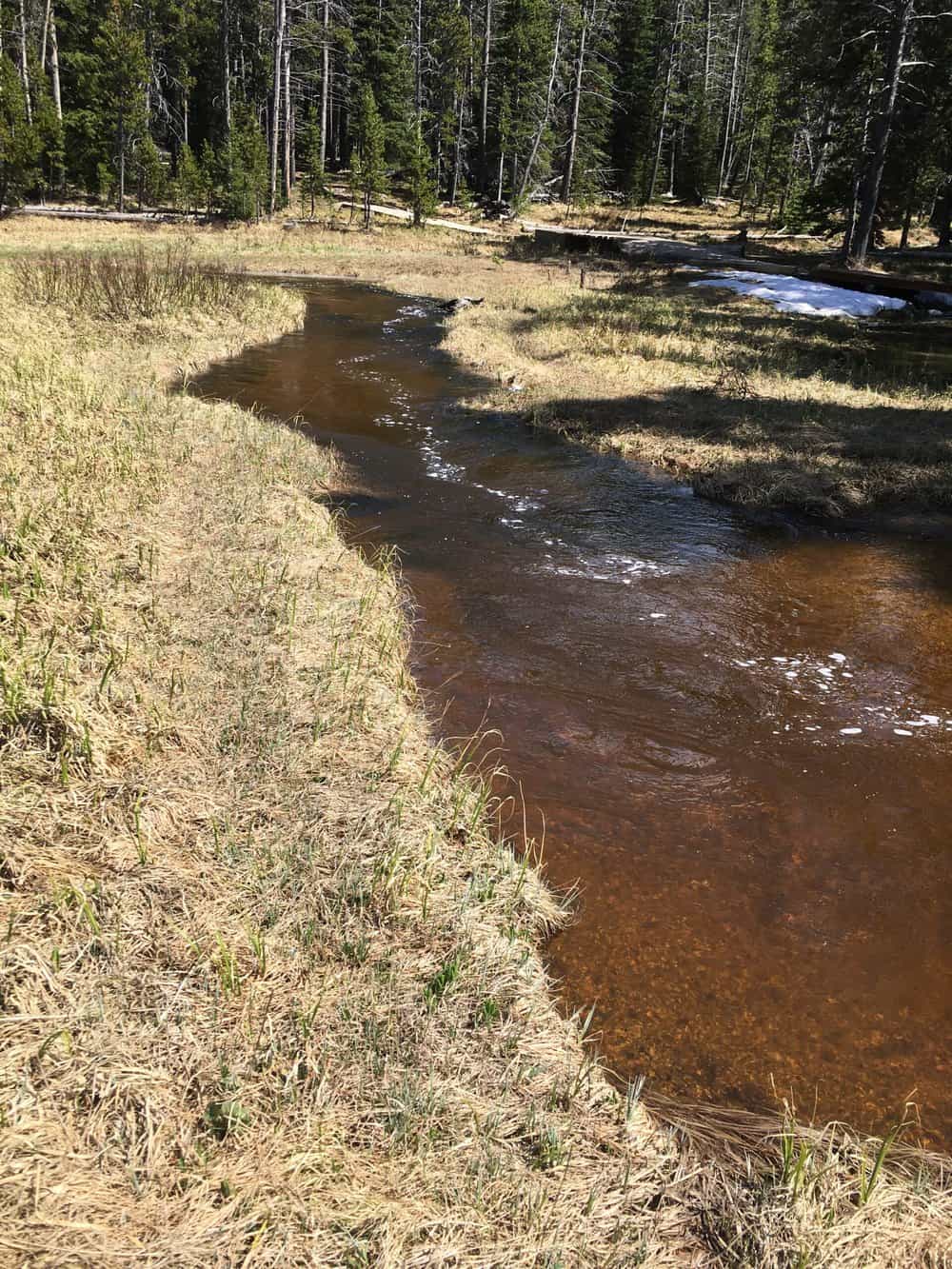 Fly Fishing Techniques For Catching Trout In Small Streams – AnglerWise