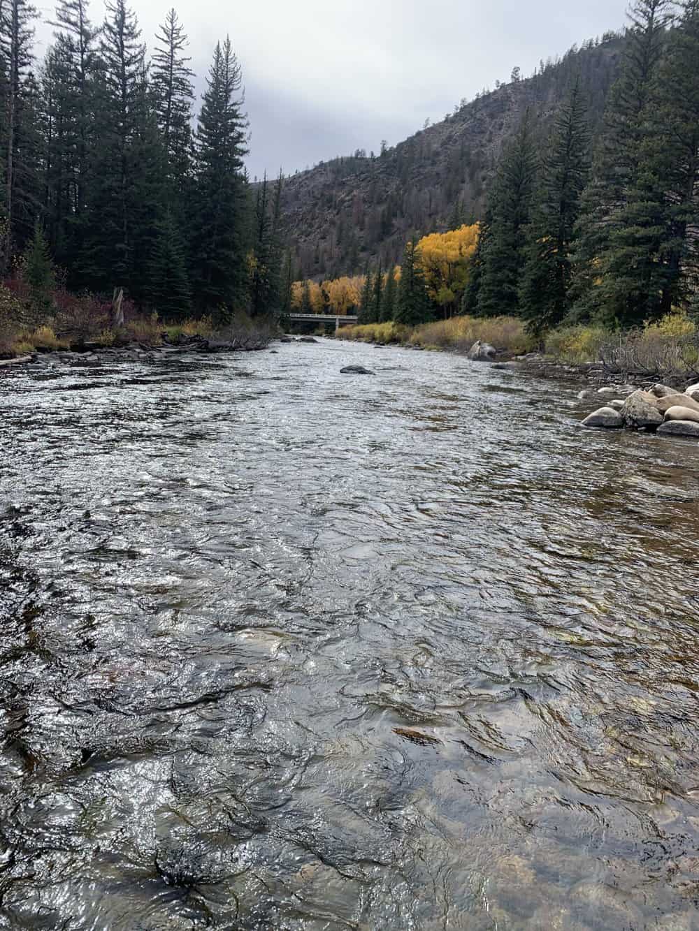 Trout Fishing In Rain: Using The Elements To Your Advantage – AnglerWise