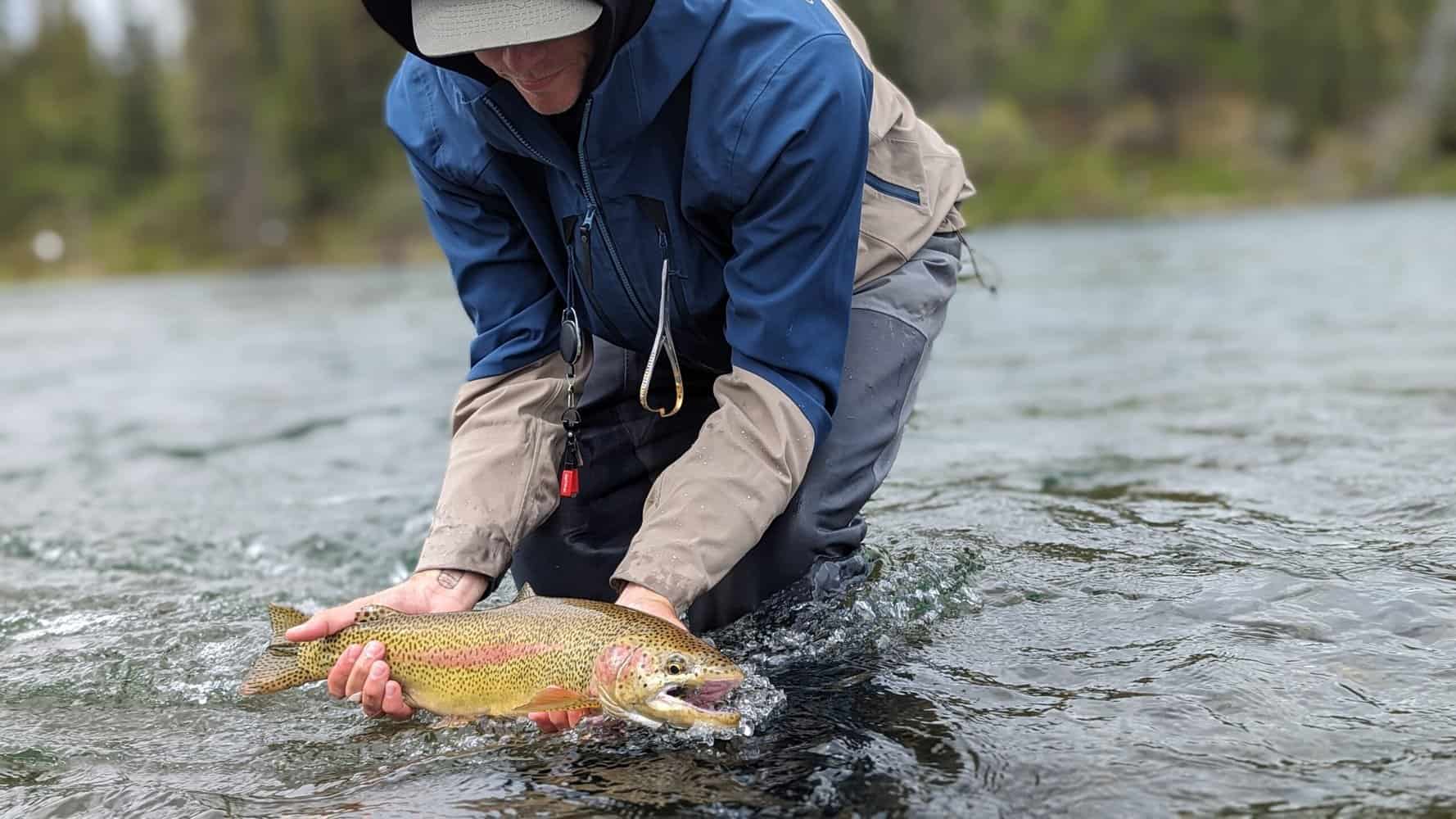 Why Do Trout Die So Easily? Here’s How To Release Them Alive – AnglerWise