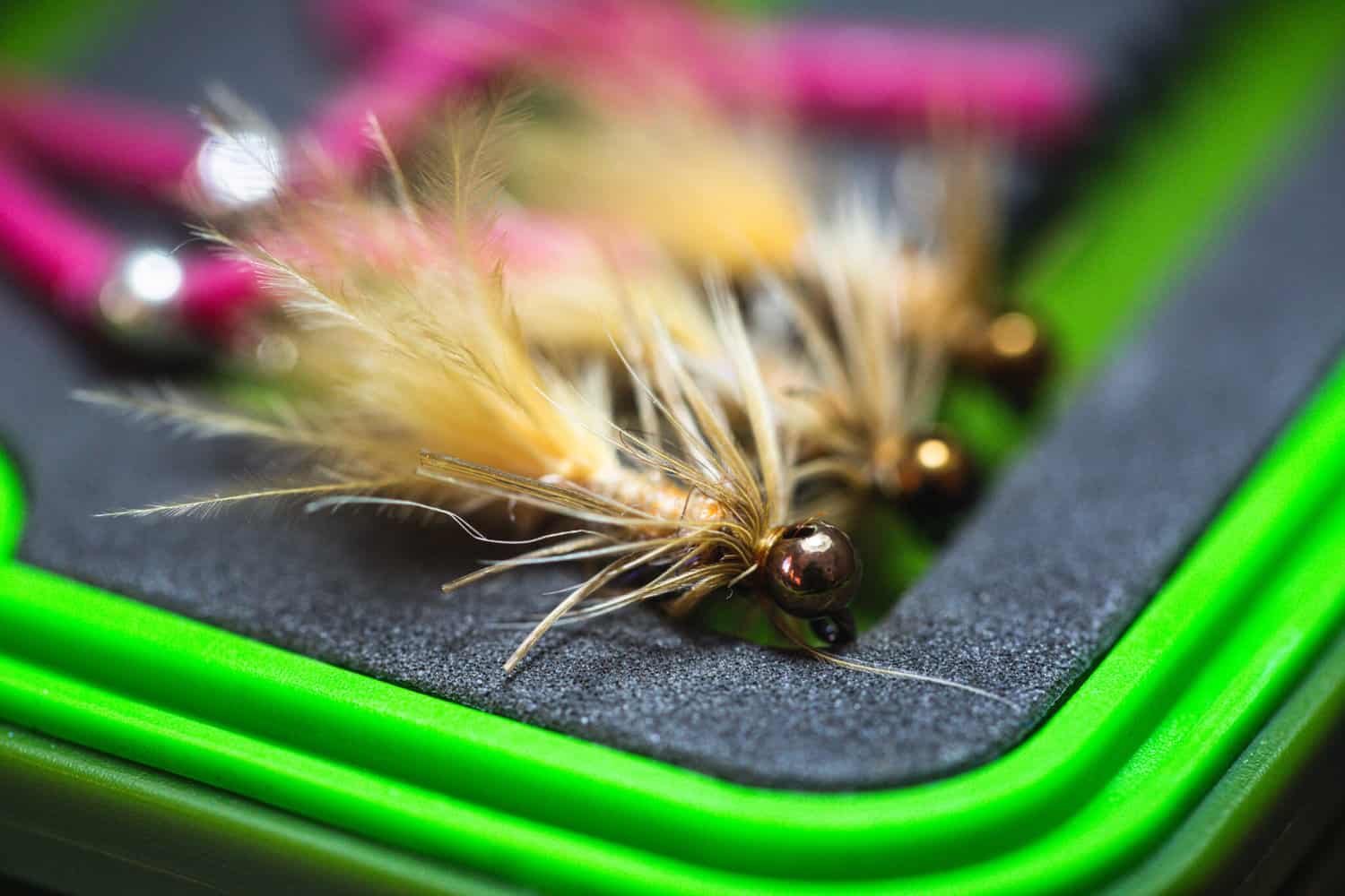 What Size Woolly Bugger For Trout? Fish Catching Machine – AnglerWise