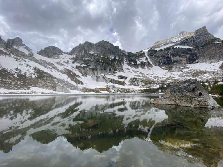 What Do Cutthroat Trout Eat? Cutthroat Trout’s Vast Diet – AnglerWise