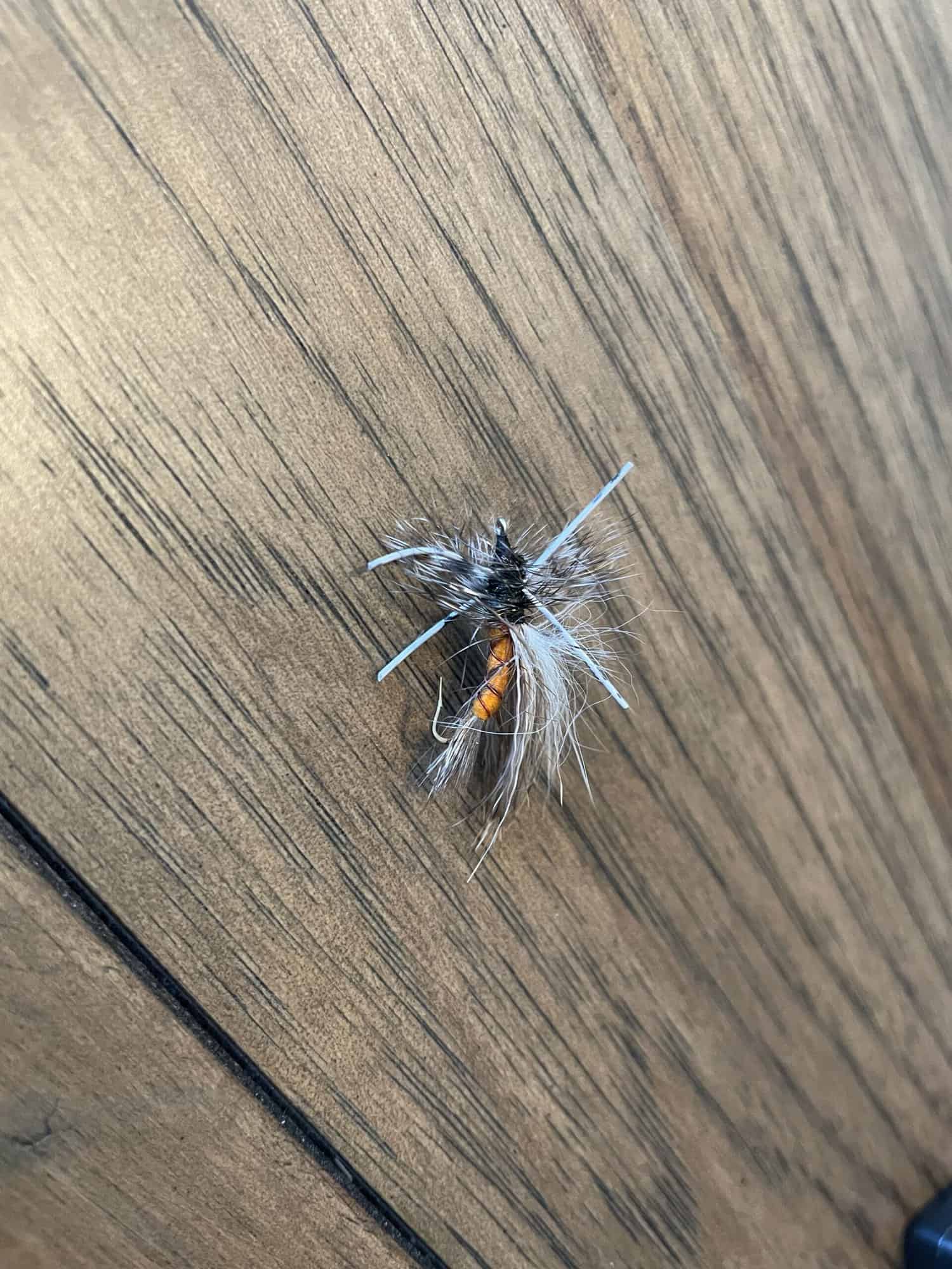 Best Flies For Rainbow Trout: Set Yourself Up For Success – AnglerWise