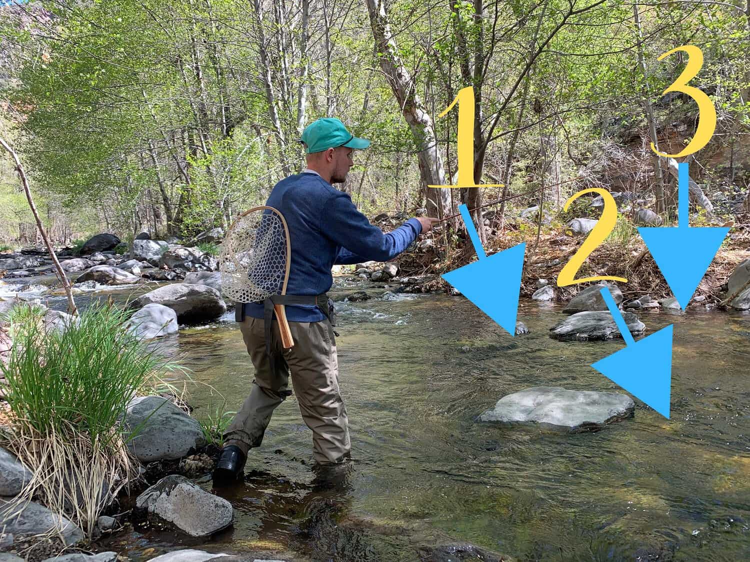 How To Catch Brown Trout: Aggressive And Sensitive Predators – AnglerWise