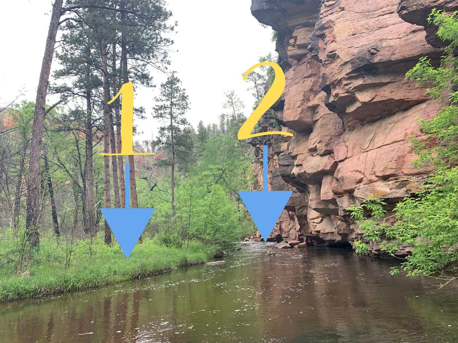 How To Catch Brown Trout: Aggressive And Sensitive Predators – AnglerWise