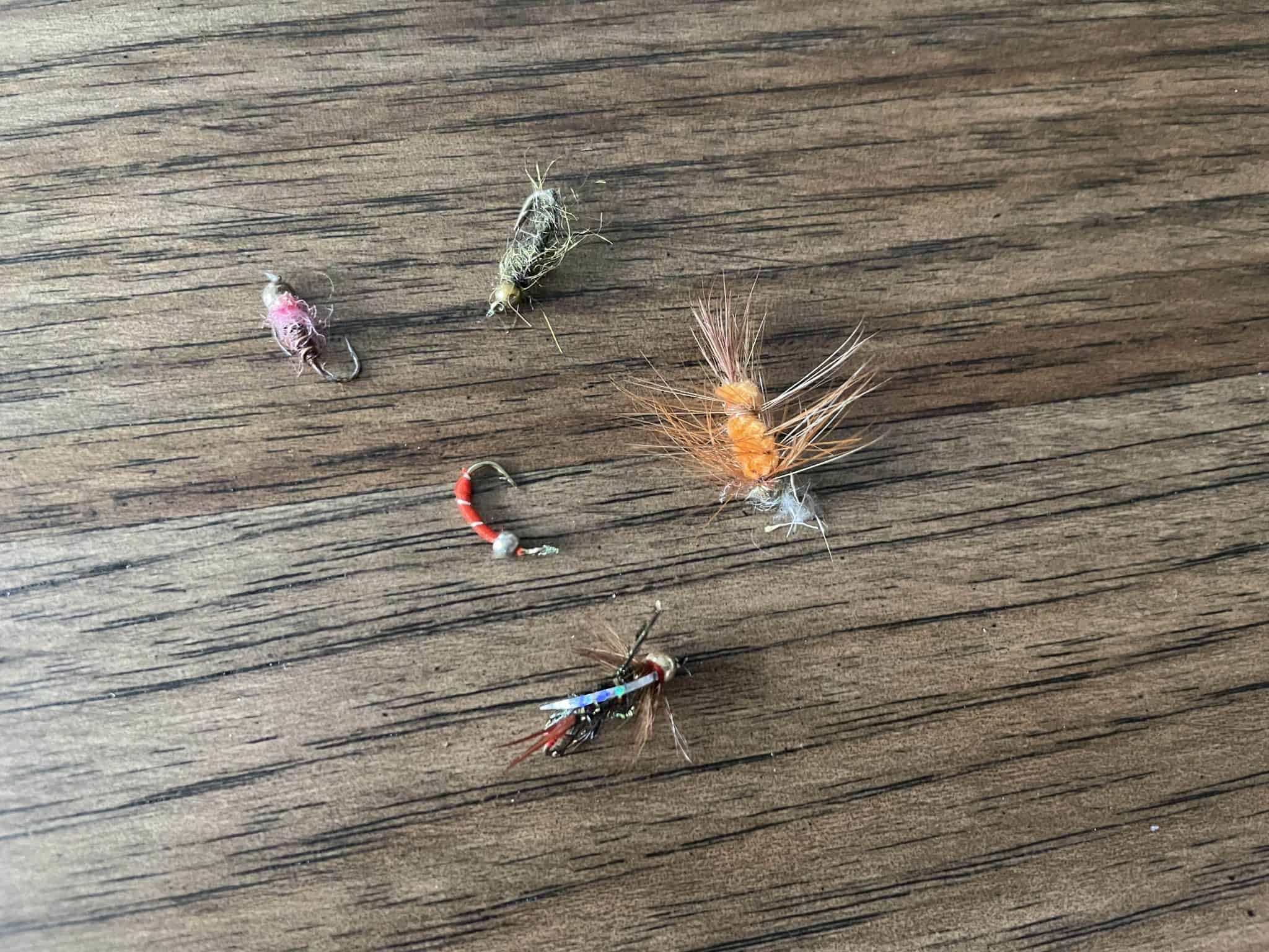 How To Catch Rainbow Trout: Landing Beautiful, Aggressive Fish – AnglerWise