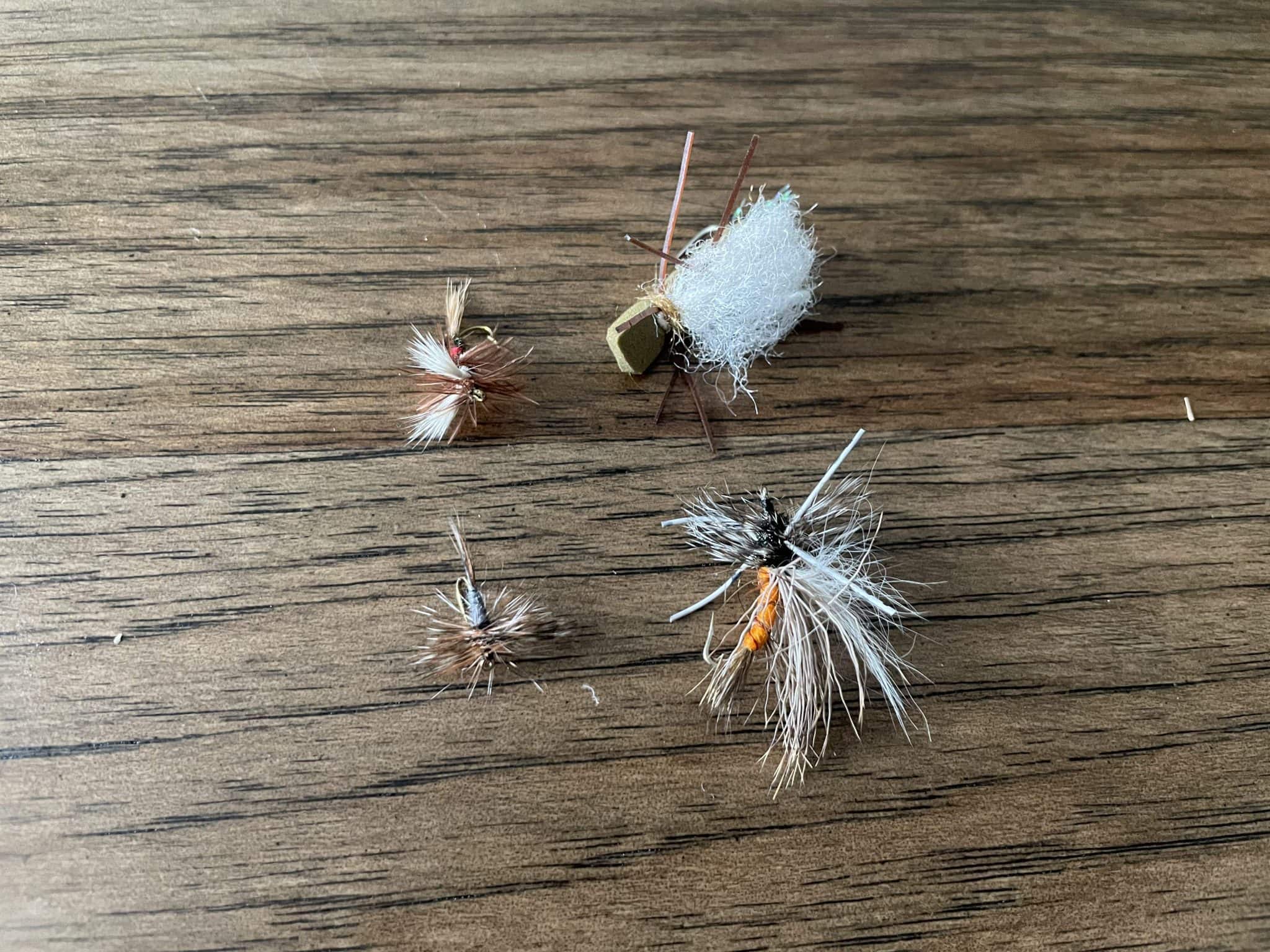 How To Catch Rainbow Trout: Landing Beautiful, Aggressive Fish – AnglerWise