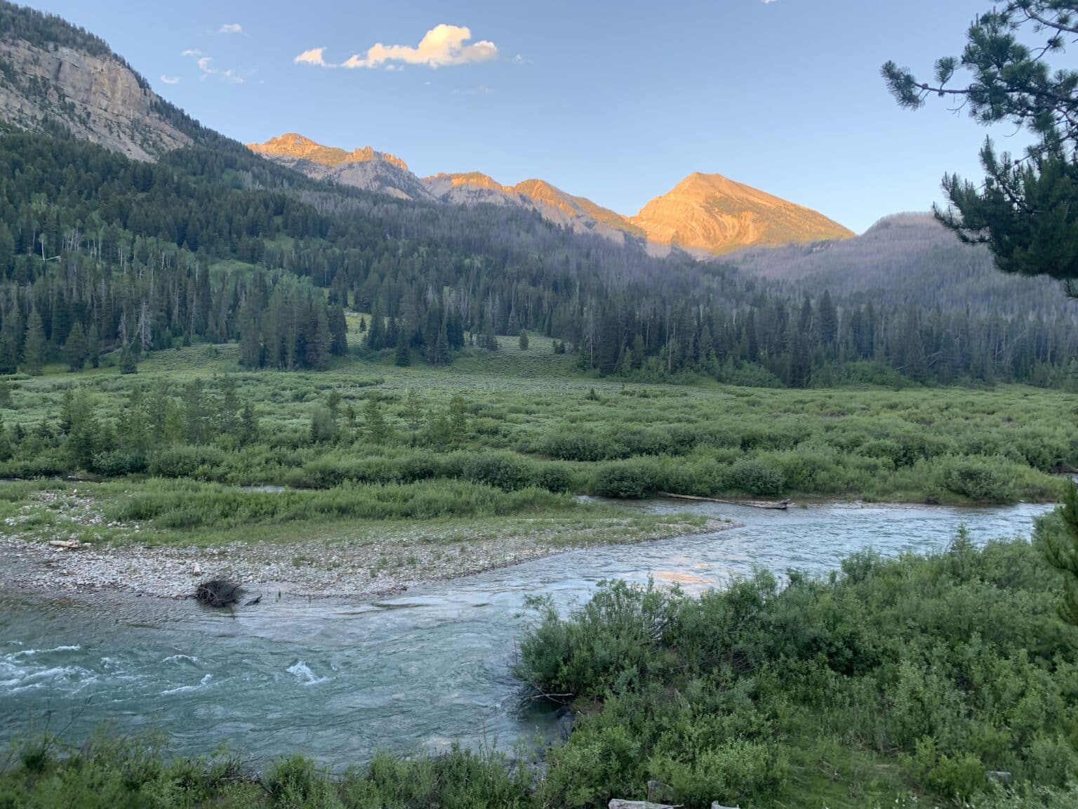 How Does Barometric Pressure Influence Trout Activity And Feeding ...