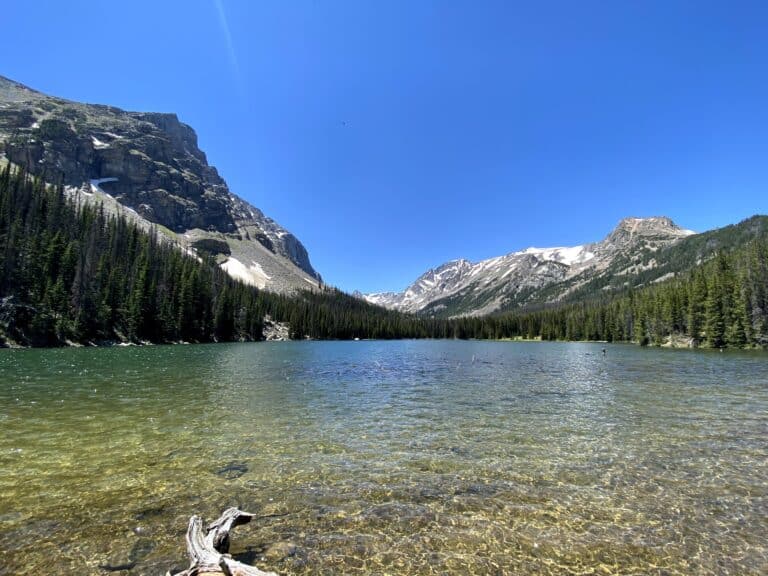 How Does Barometric Pressure Influence Trout Activity And Feeding ...